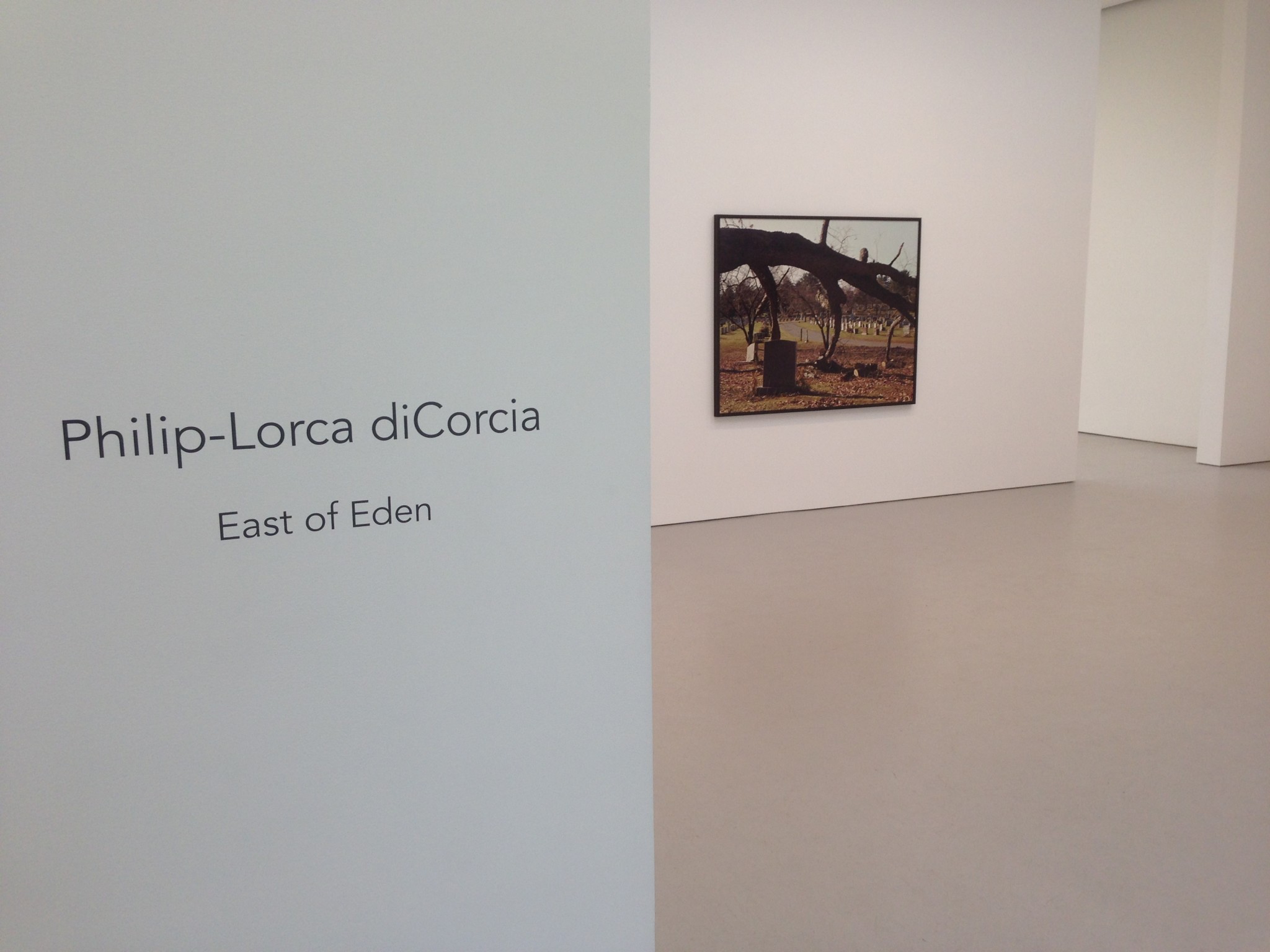 Philip-Lorca diCorcia, East of Eden @David Zwirner | Collector Daily