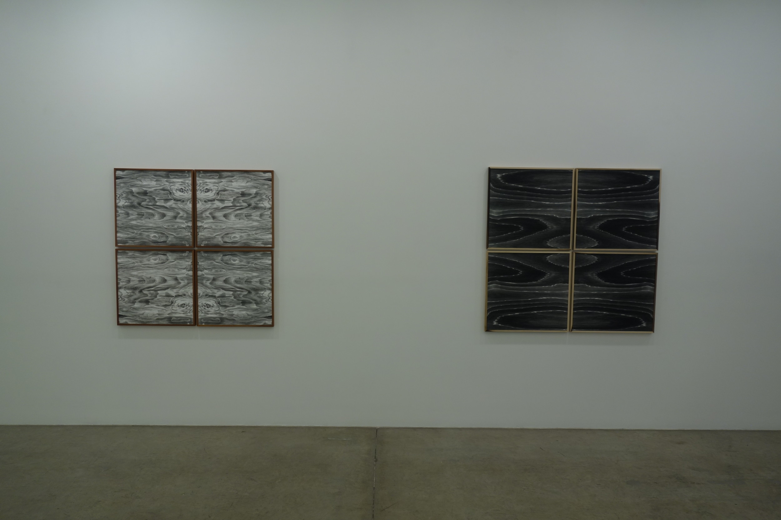 Lisa Oppenheim: Gramma @Tanya Bonakdar | Collector Daily