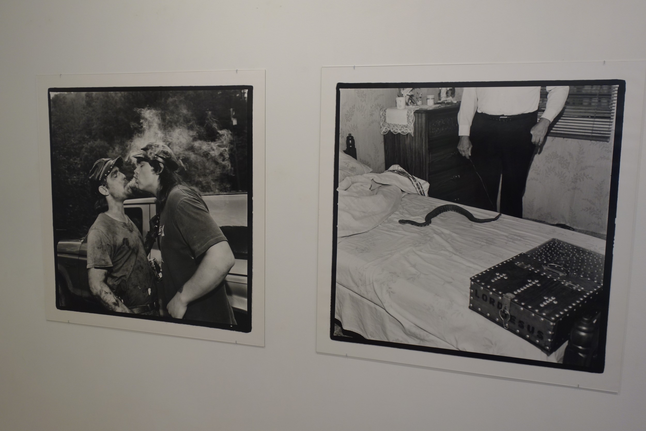 Susan Lipper, Grapevine 1988-1992 @Higher Pictures | Collector Daily