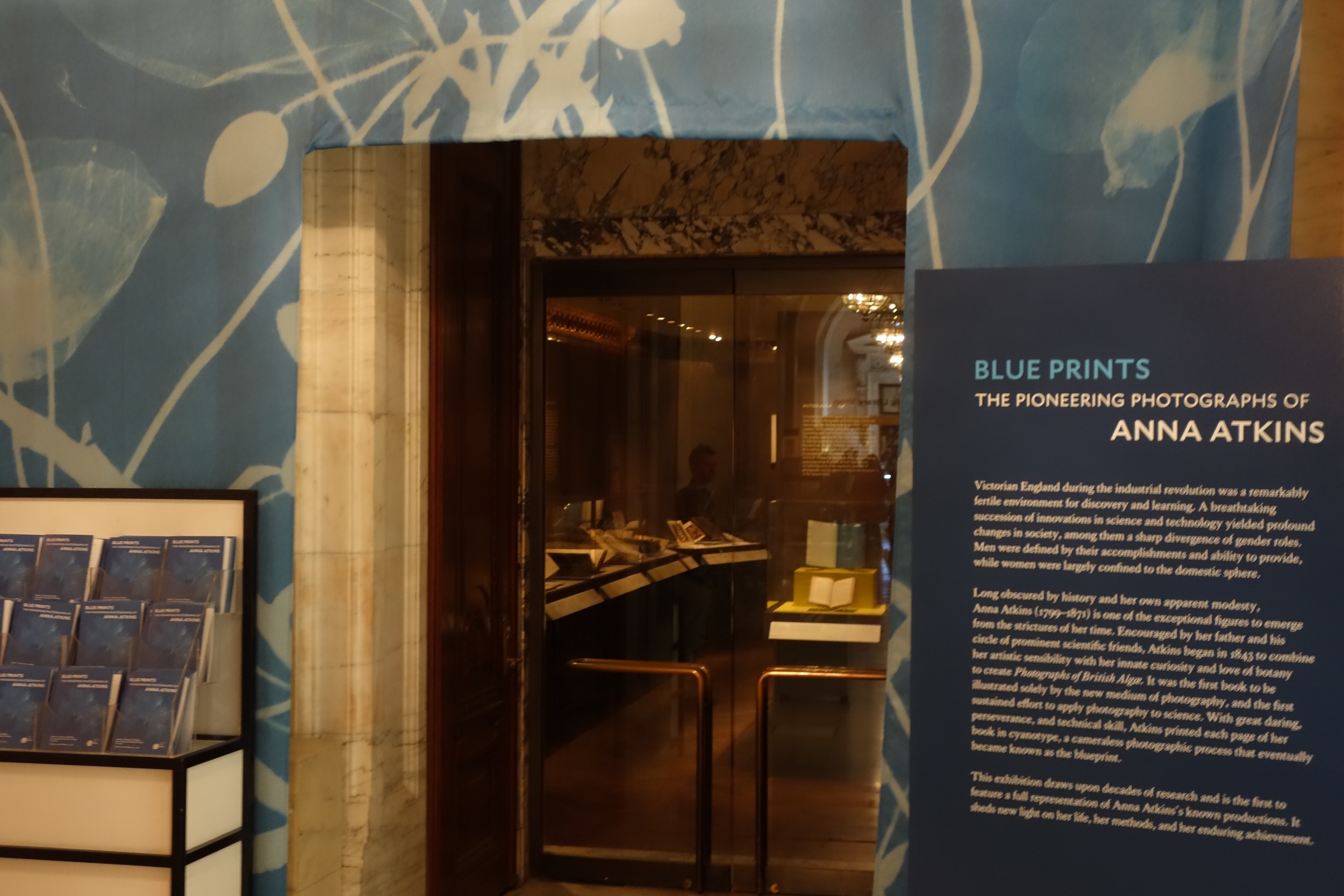 Blue Prints: The Pioneering Photographs of Anna Atkins @New York Public ...