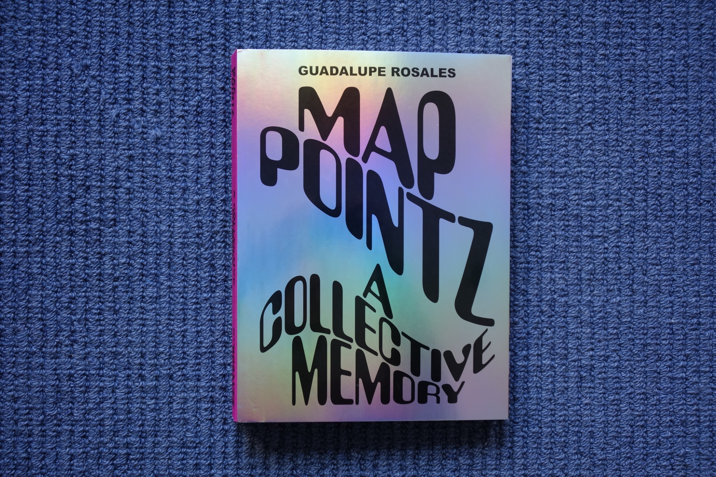 Guadalupe Rosales, MAP POINTZ | Collector Daily