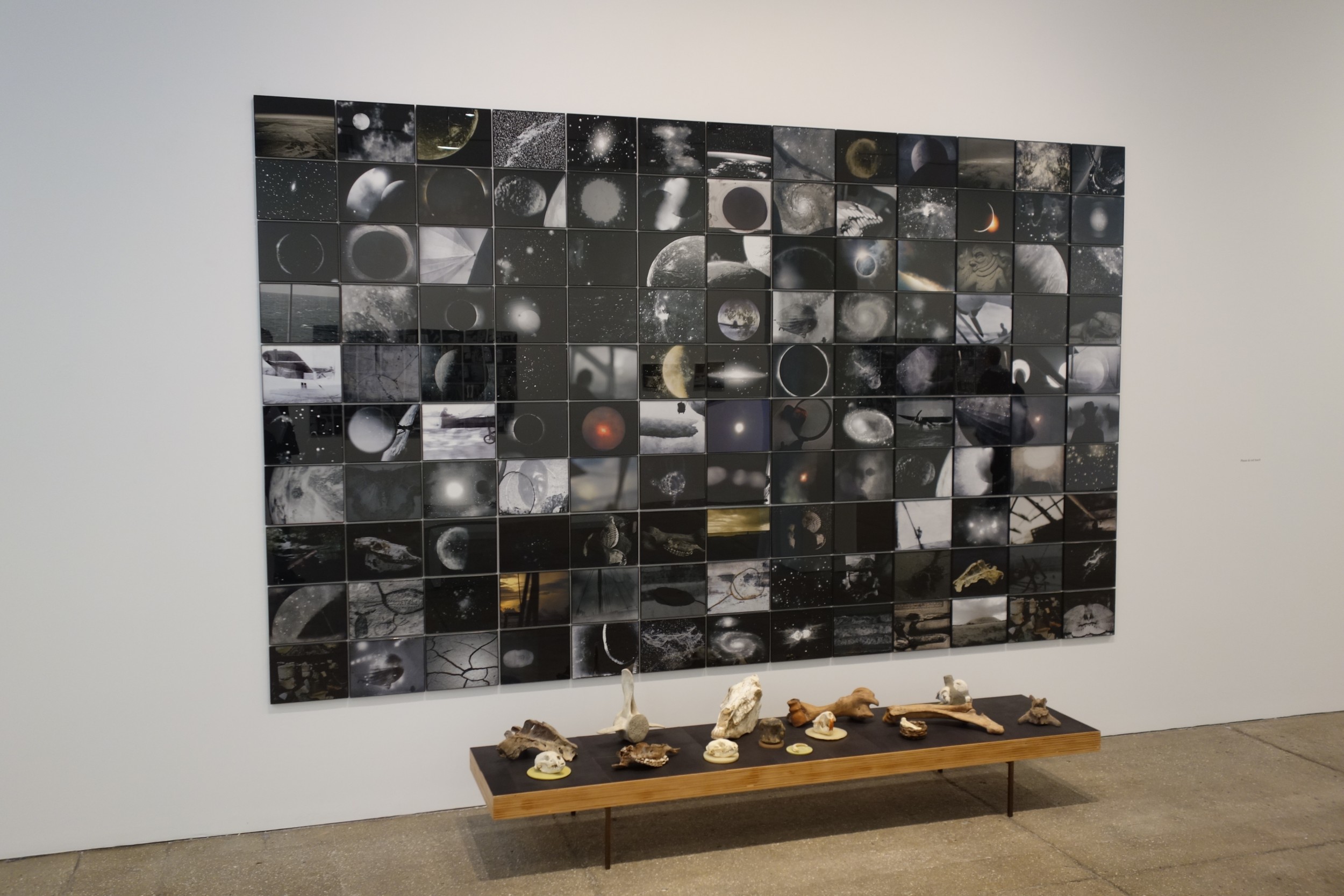 Michelle Stuart, Flight of Time @Galerie Lelong | Collector Daily