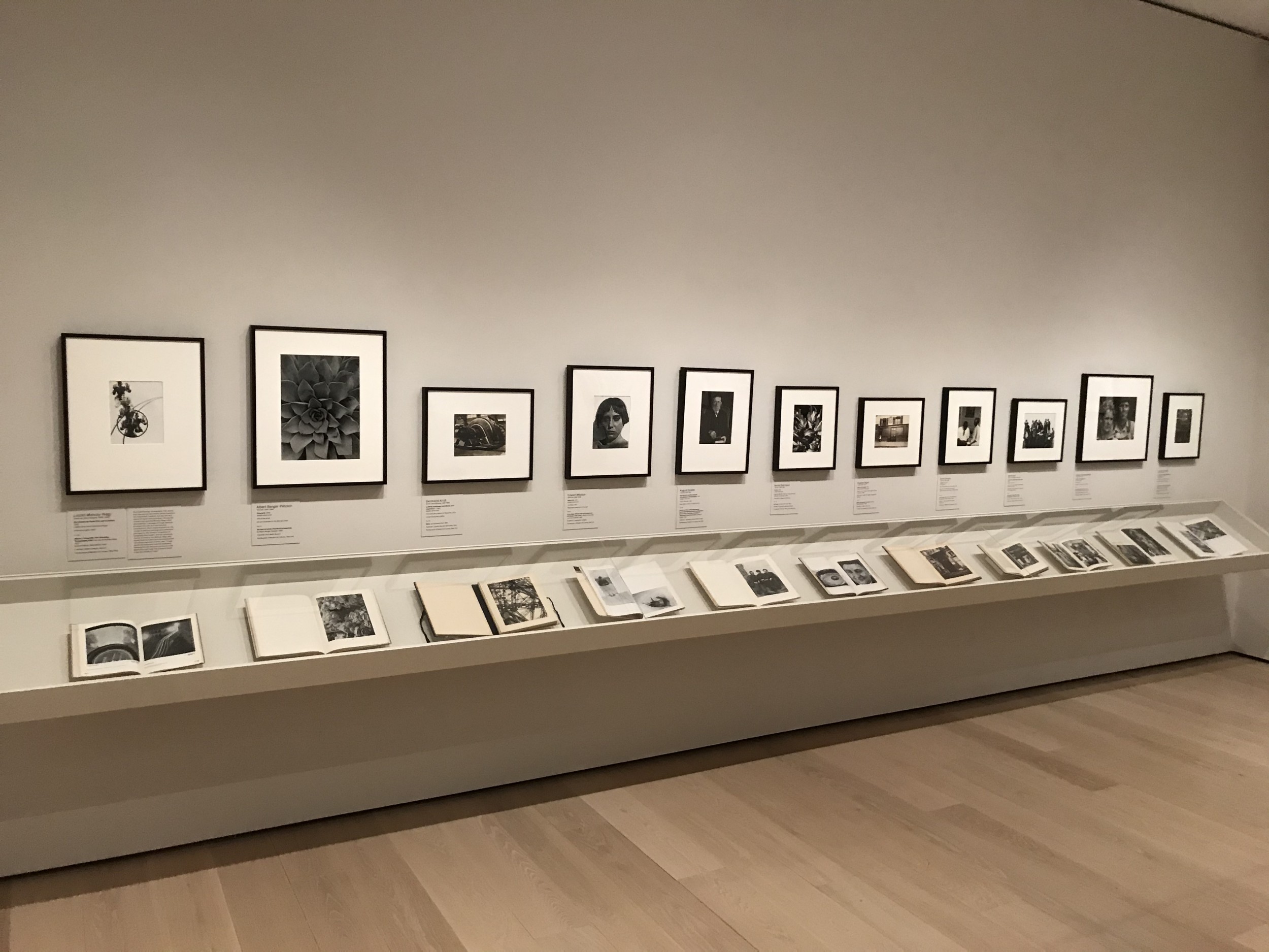 Fall Reveal @MoMA | Collector Daily