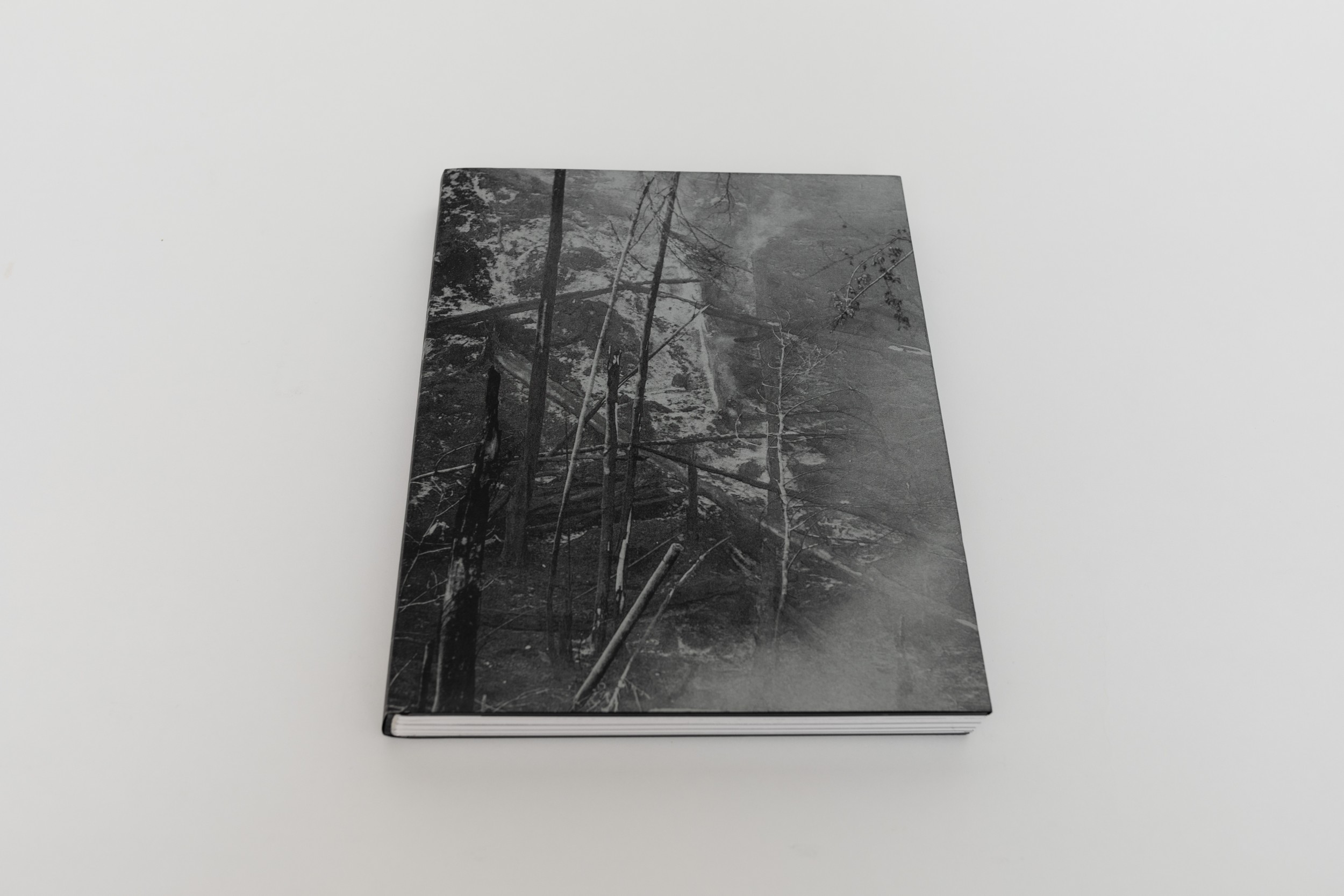 Marie Quéau, Odds and Ends | Collector Daily