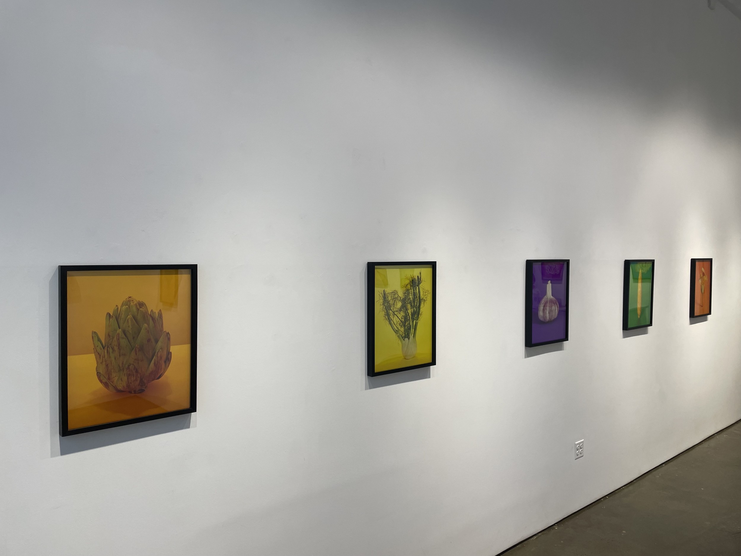 Neil Winokur, Produce @Janet Borden | Collector Daily