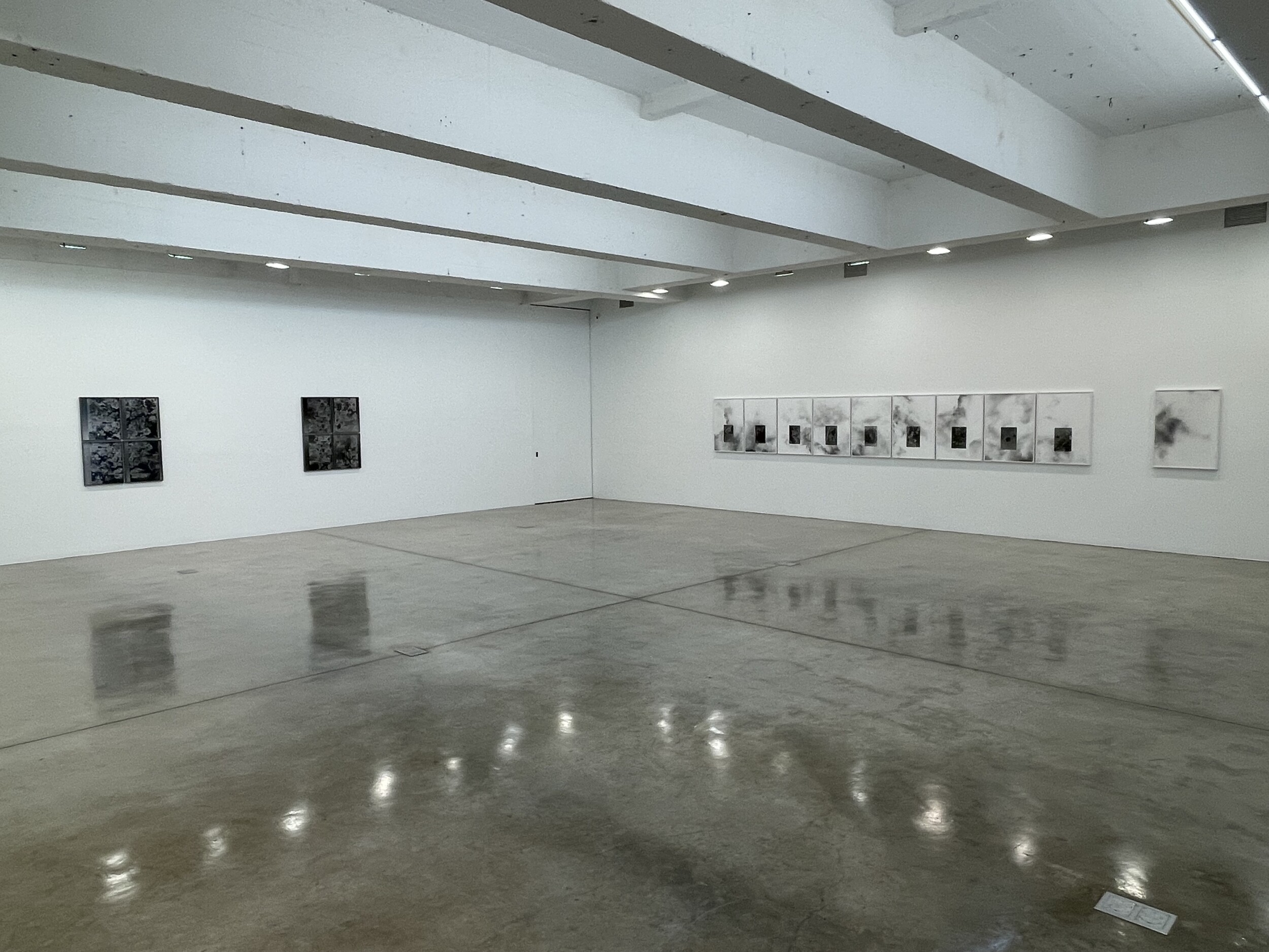 Lisa Oppenheim: Spolia @Tanya Bonakdar | Collector Daily