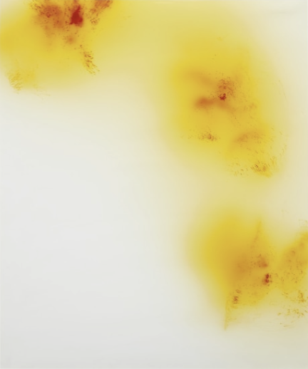 Auction Results: New Now, September 28, 2022 @Phillips | Collector Daily