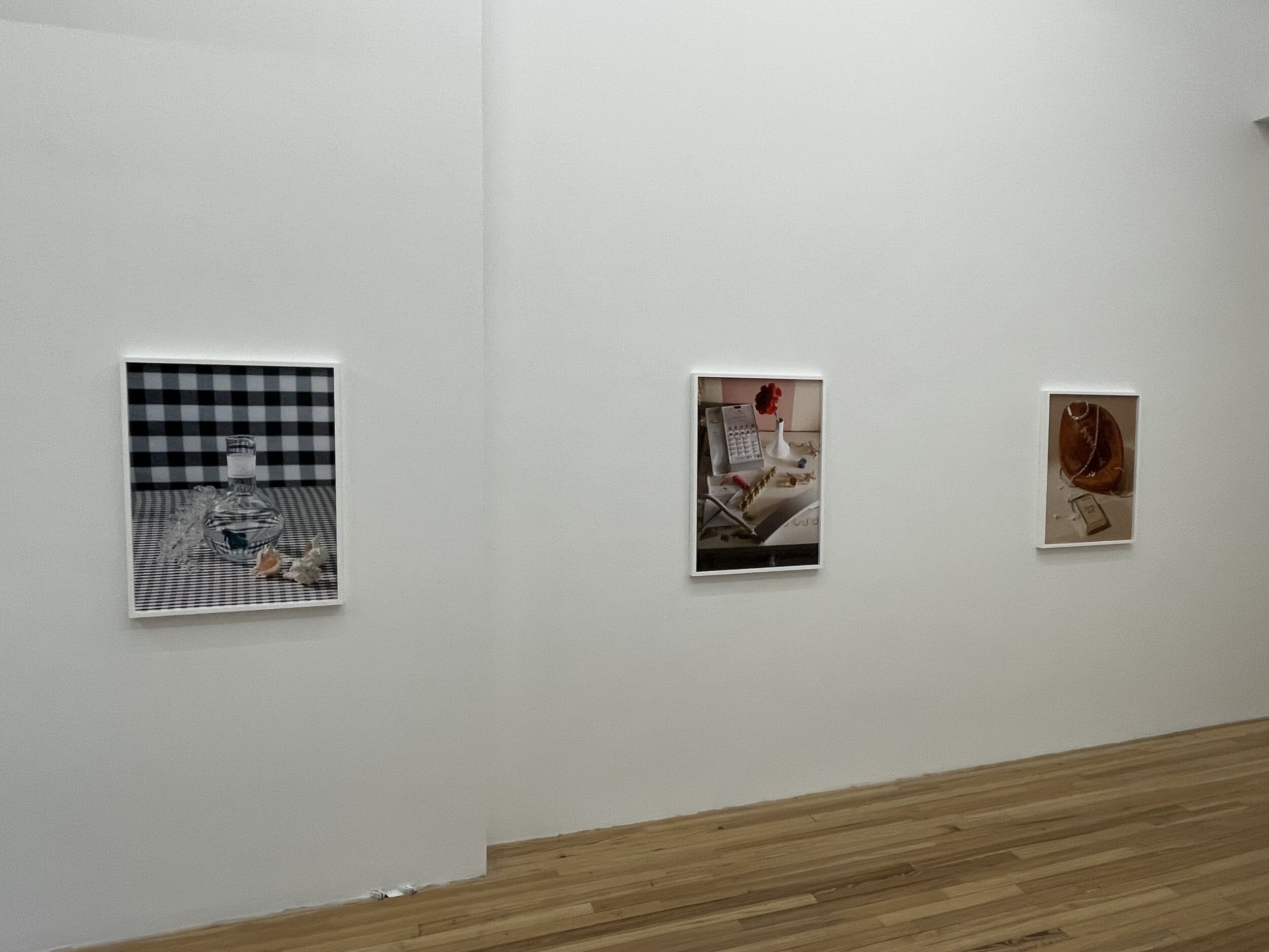 Roe Ethridge, American Polychronic @Andrew Kreps and @Gagosian ...