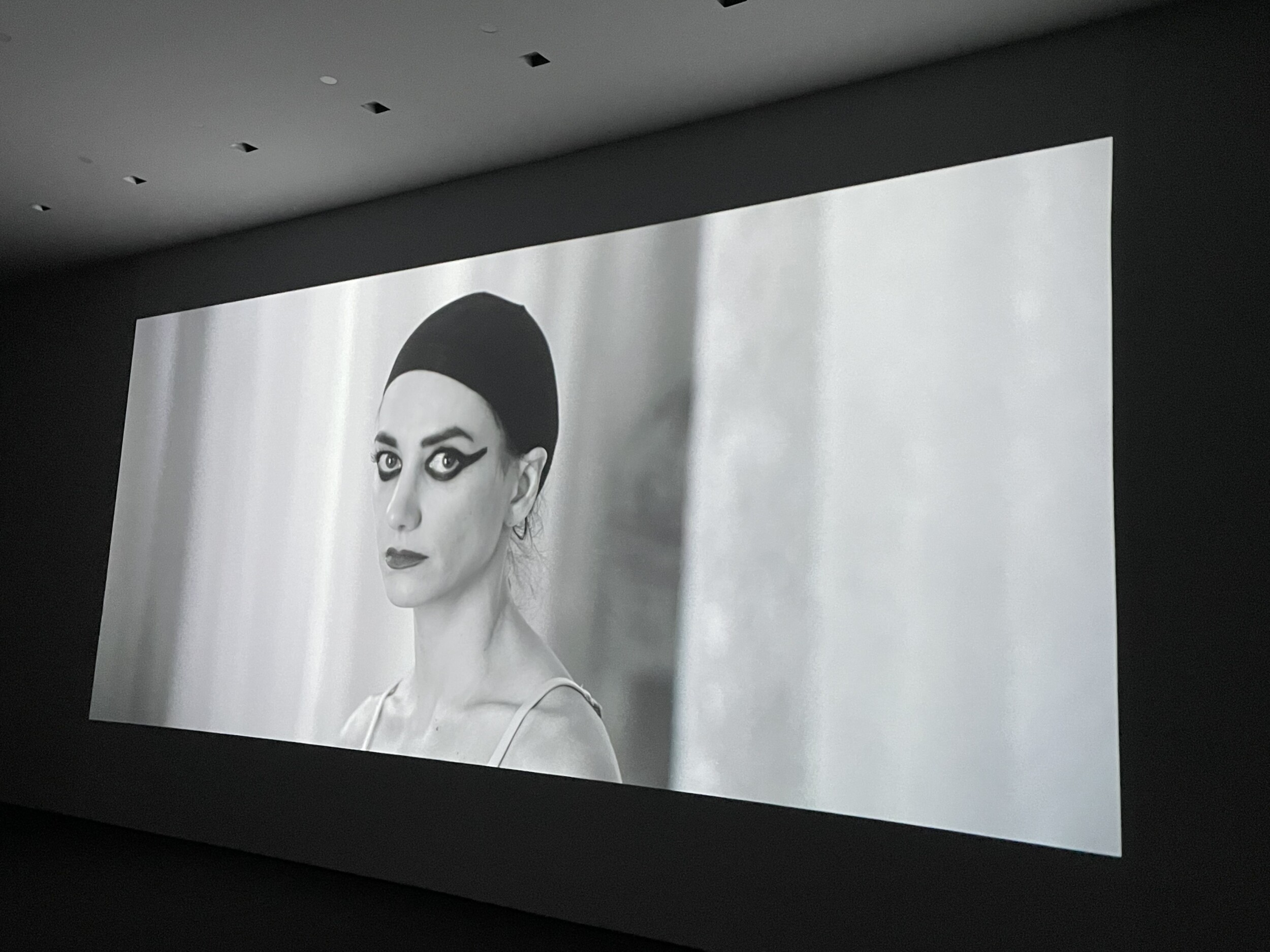 Shirin Neshat, The Fury @Gladstone | Collector Daily
