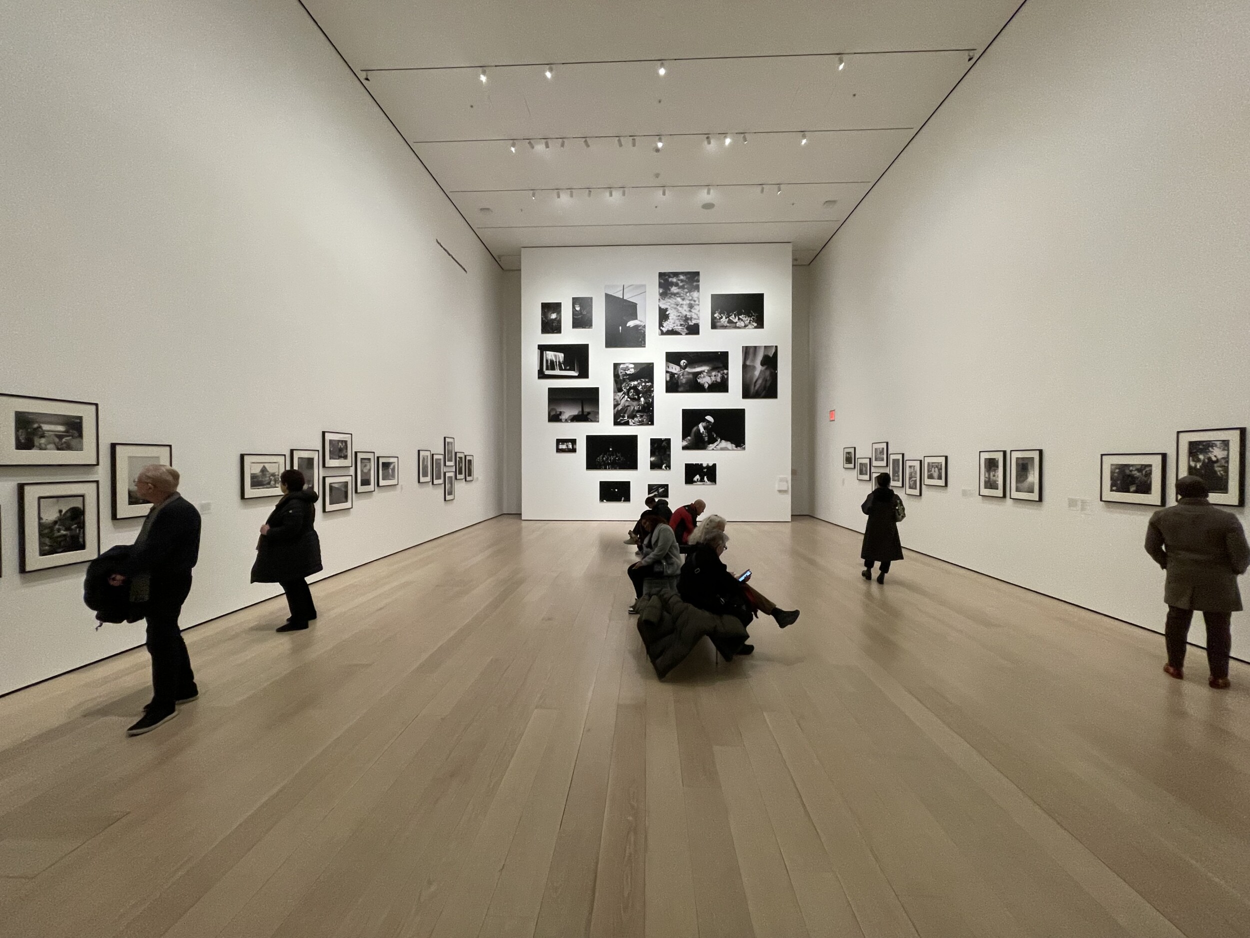 Projects: Ming Smith @MoMA | Collector Daily