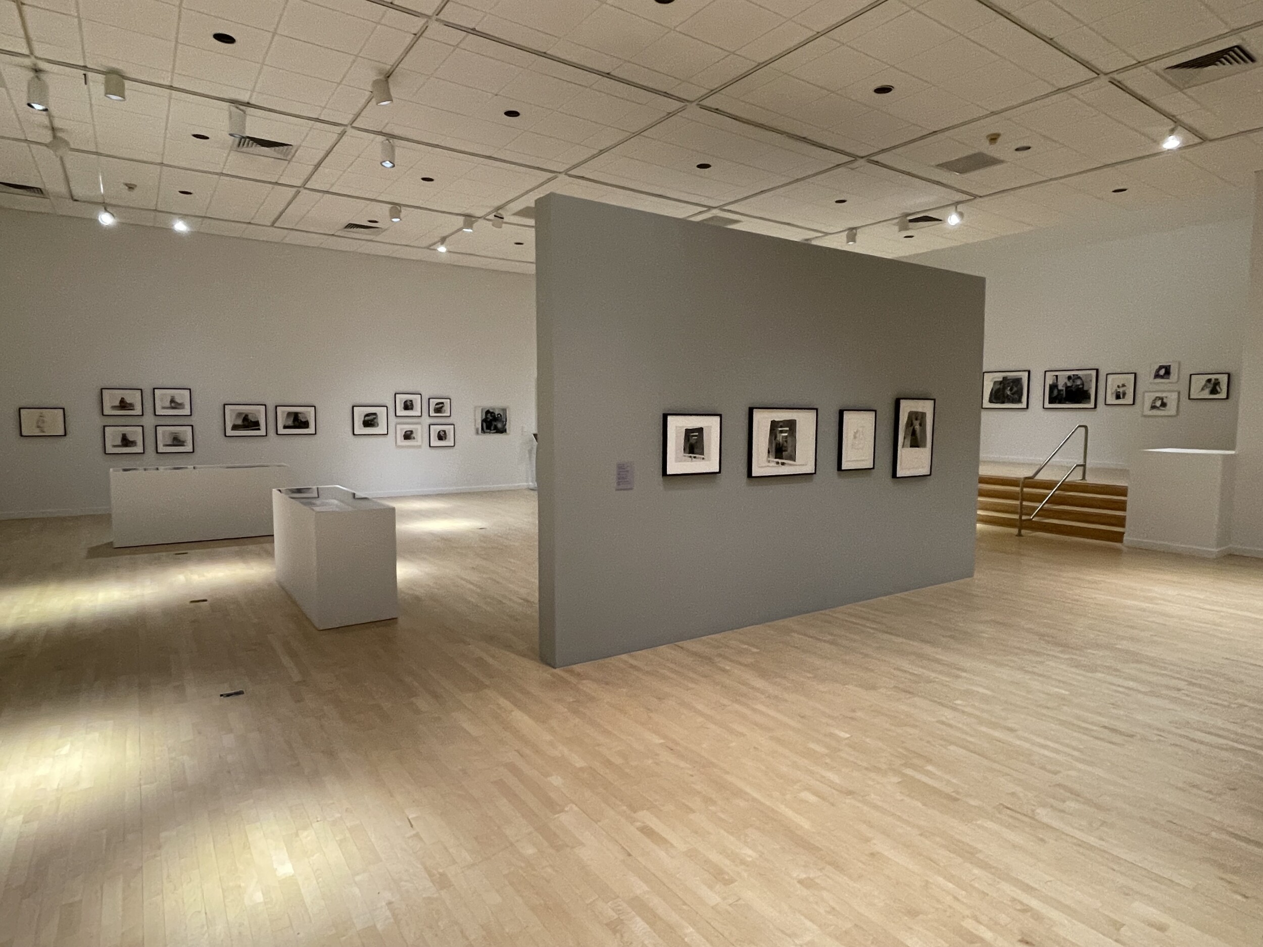 Darrel Ellis: Regeneration @Bronx Museum | Collector Daily