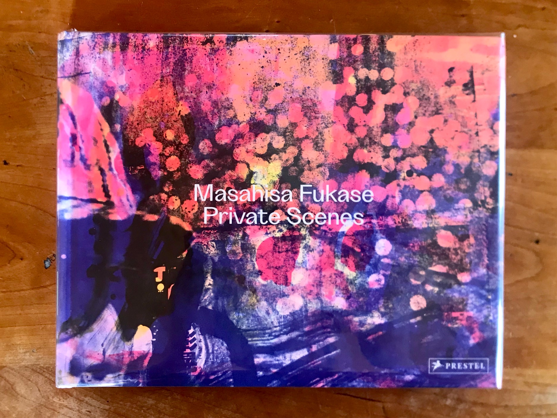 Masahisa Fukase, Private Scenes | Collector Daily