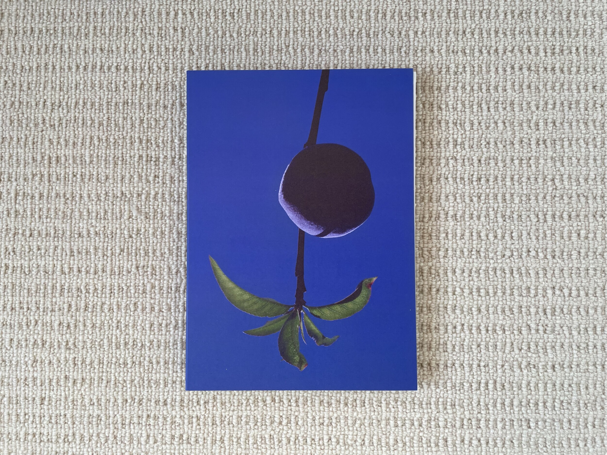 Marisol Mendez, Madre | Collector Daily