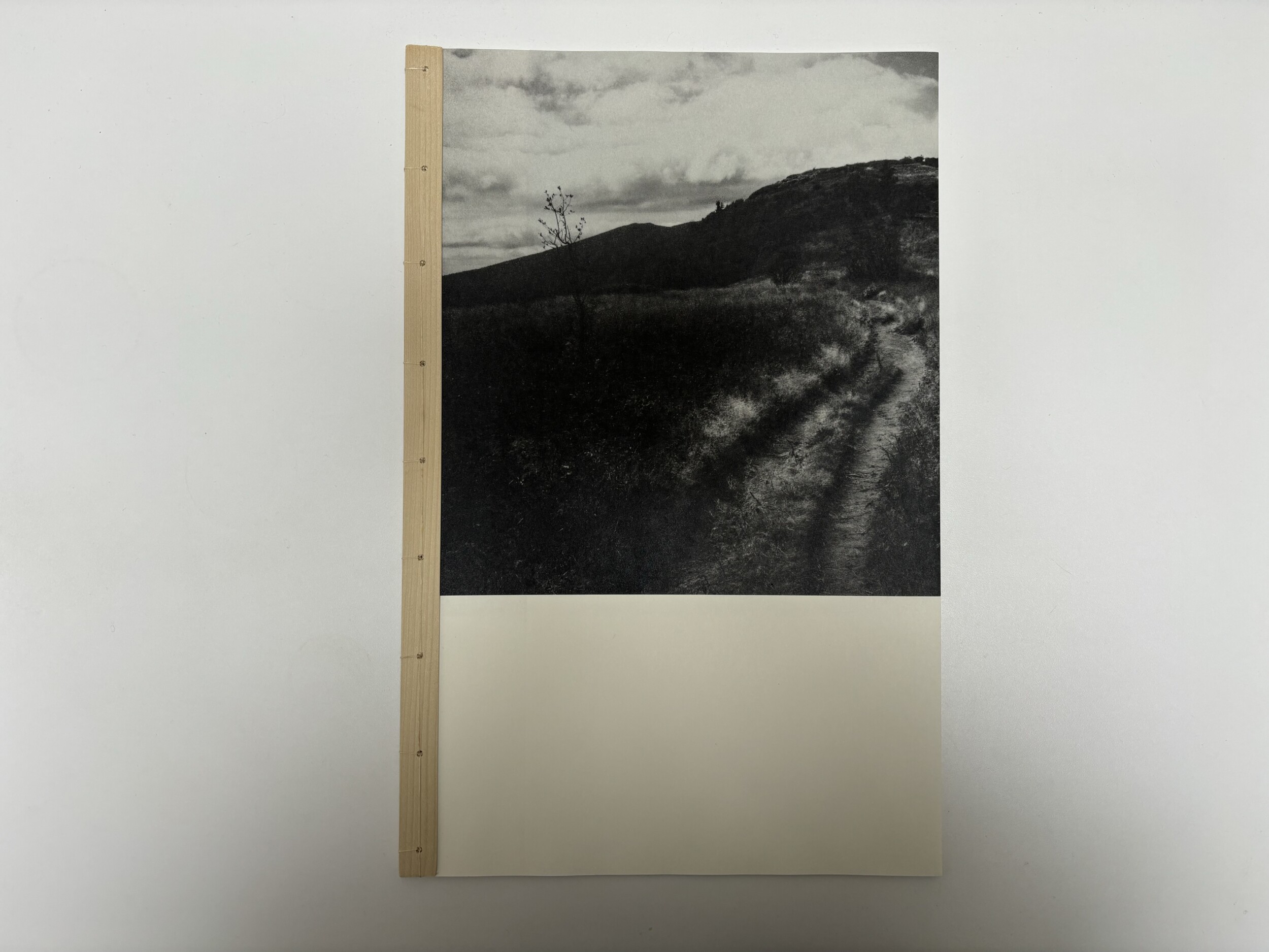 Harrison Miller, Valleys | Collector Daily