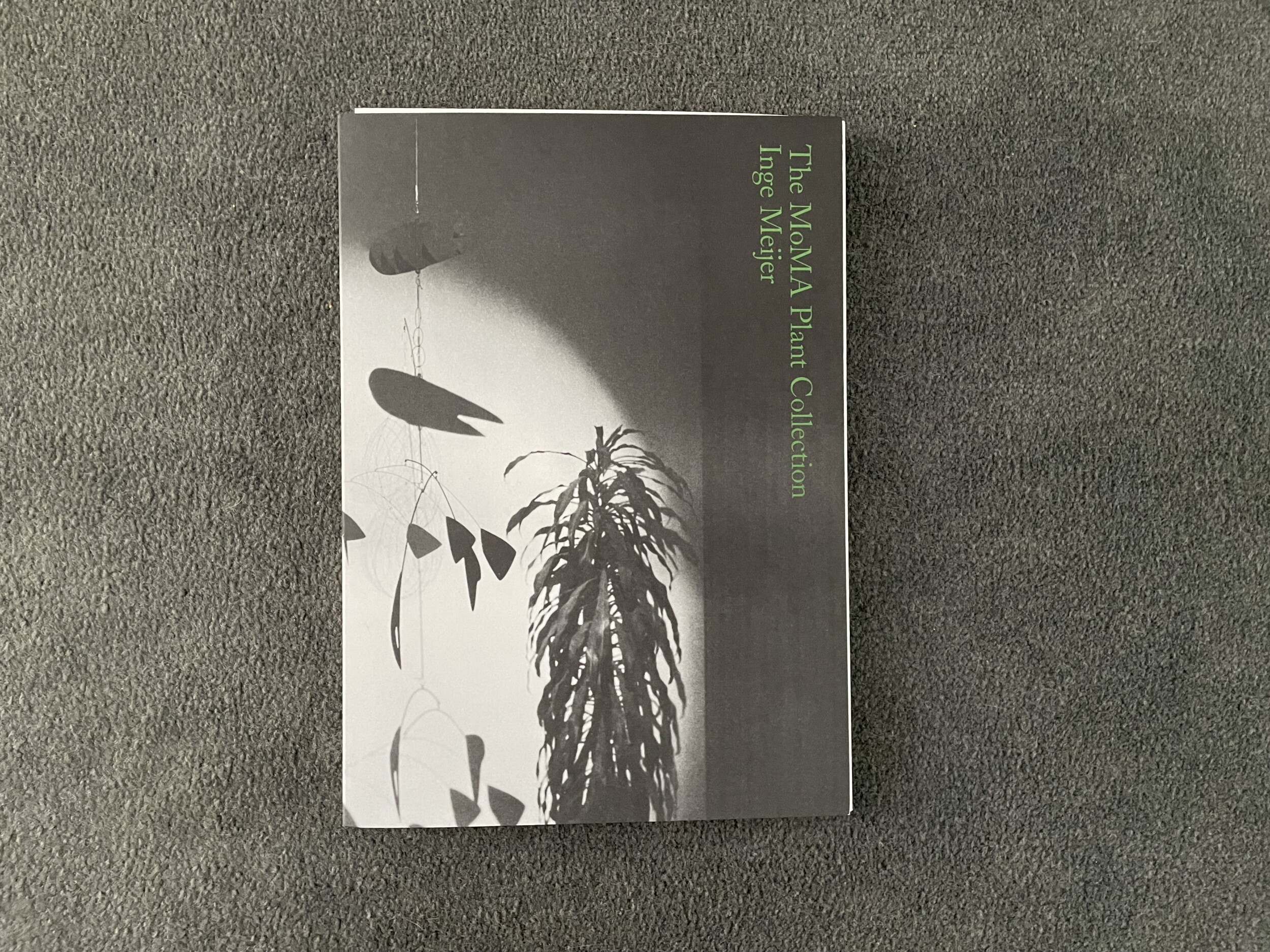 Inge Meijer, The MoMA Plant Collection | Collector Daily