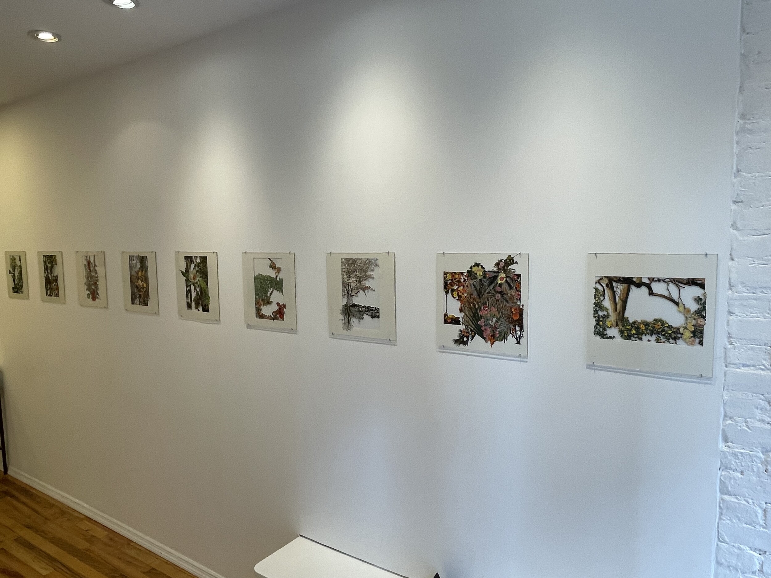 Justine Kurland: SCUMB Flowers @Dashwood Projects | Collector Daily