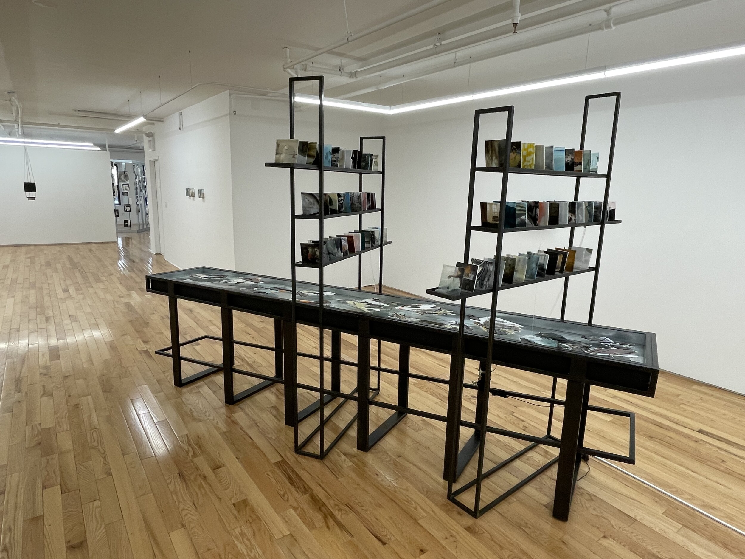 Rowan Renee, My image is a lens @Island | Collector Daily