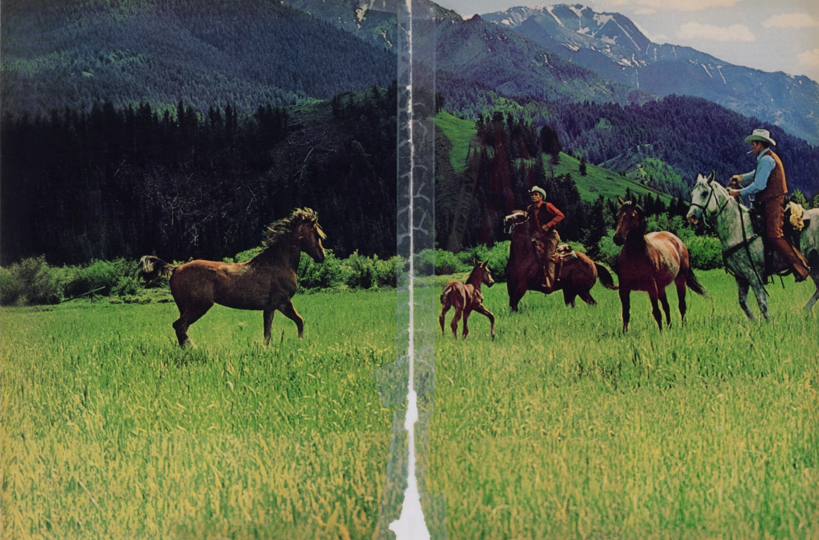 Auction Results: Leonard & Louise Riggio: Collected Works, 21st Century ...