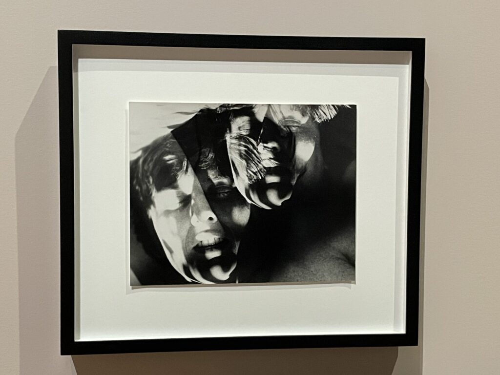 Barbara Hammer @Whitney | Collector Daily