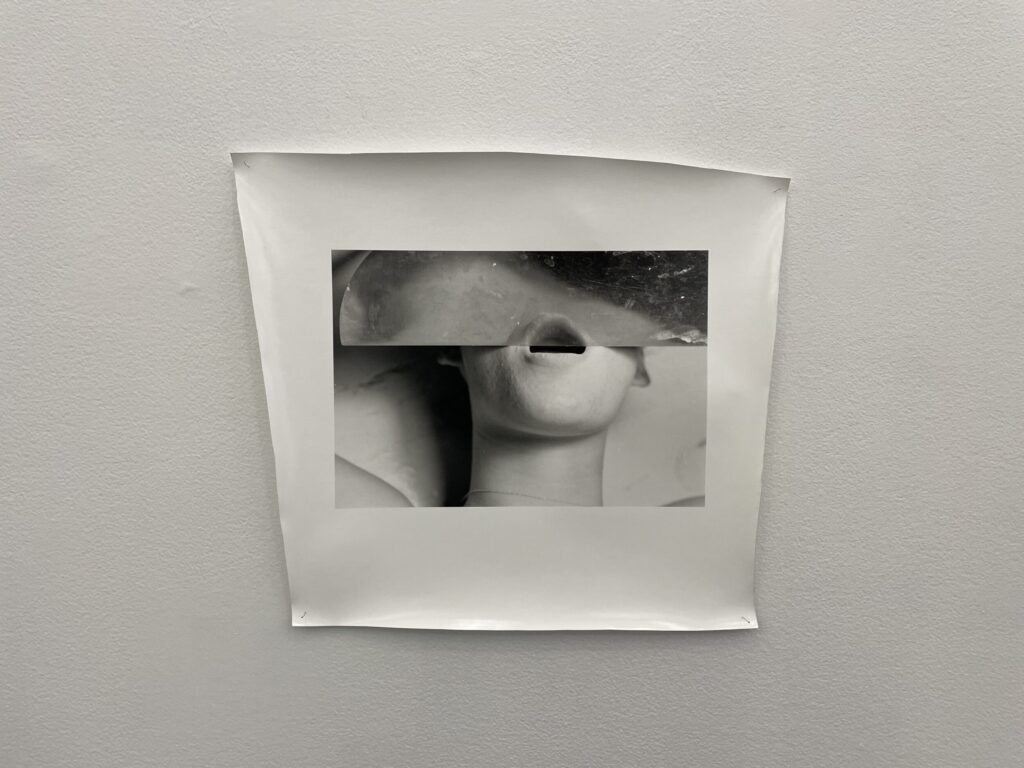 Hannah Beerman and Olivia Reavey: New Works @Thomas Erben | Collector Daily