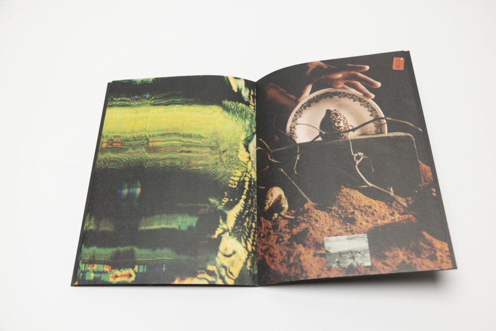 Samantha Box, Give Yourself the Caribbean, again | Collector Daily