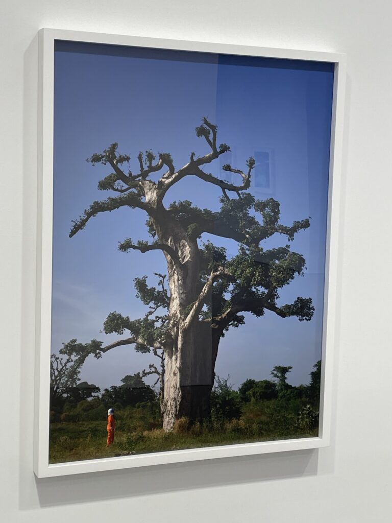 Lola Flash @Jenkins Johnson/Marian Goodman | Collector Daily