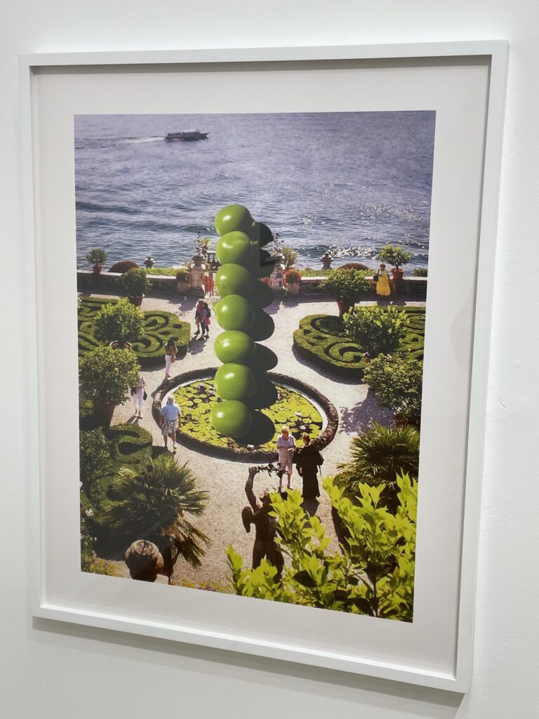 Nina Katchadourian @David Peter Francis | Collector Daily