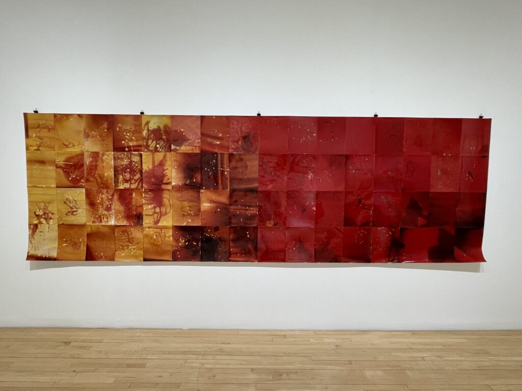 Ryan Foerster @Kerry Schuss | Collector Daily